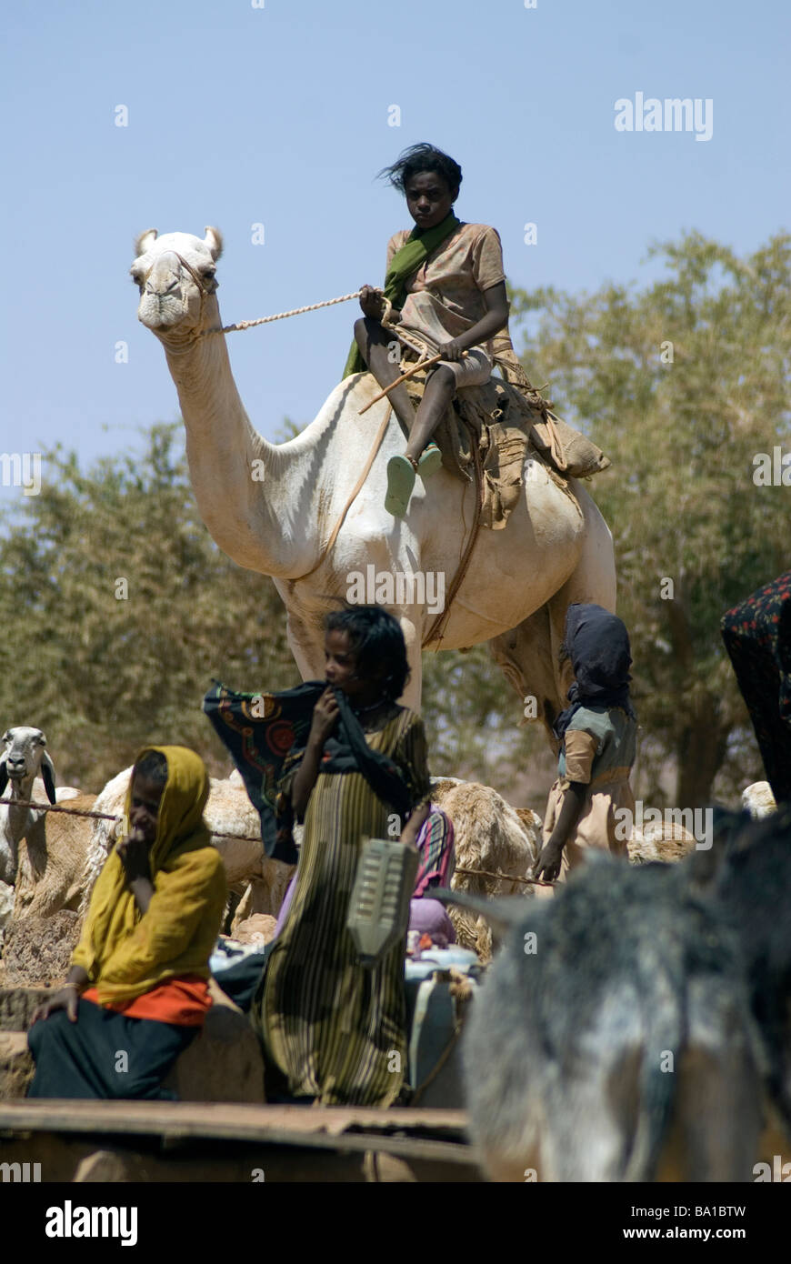 Desert children north africa hi-res stock photography and images - Alamy