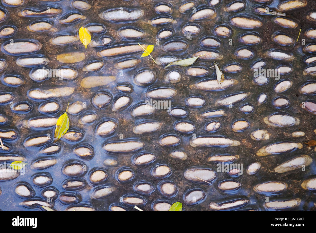Pebbled road in Byblos Lebanon Middle East Asia Stock Photo - Alamy