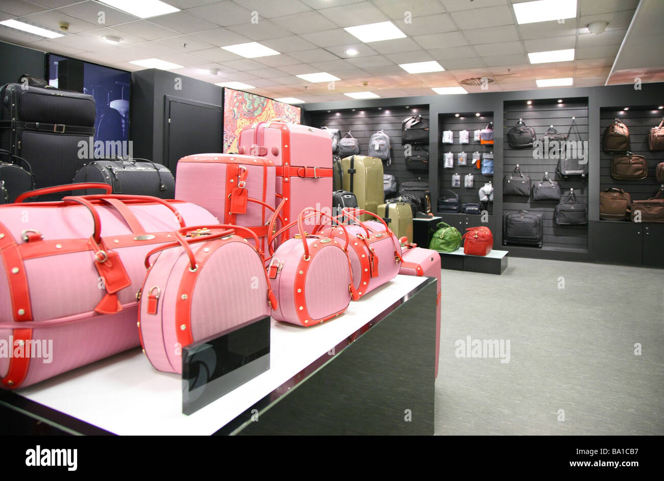 Division of bags and trunks in store Stock Photo - Alamy