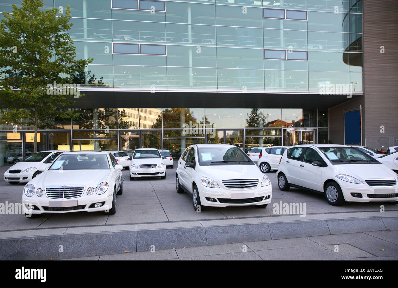 Cars on parking of shop Stock Photo - Alamy