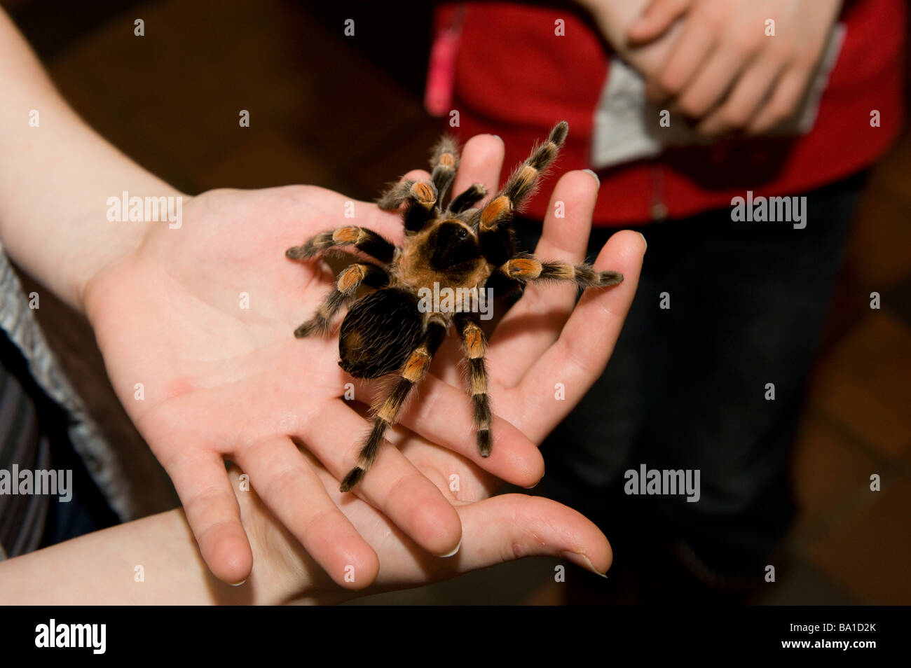 The museum at Oxford has a science day for kids where you can handle ...