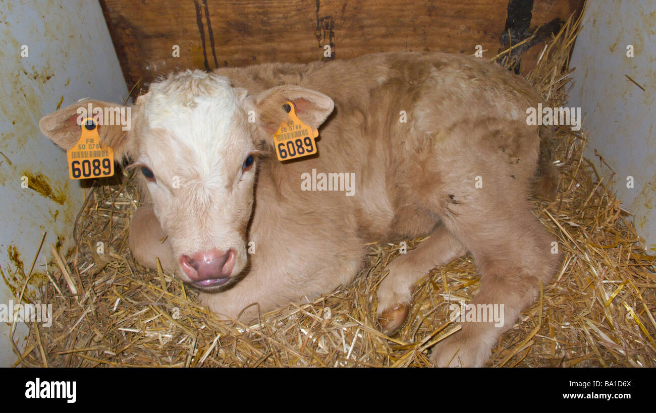 Modern farming methods hi-res stock photography and images - Alamy