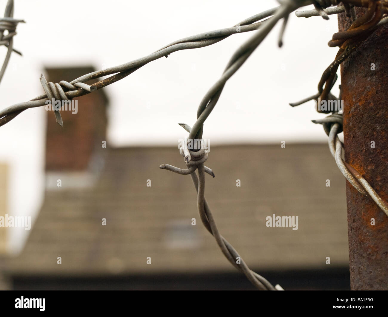 Barbed Wire Protecting House at Top of Wall Stock Photo - Alamy