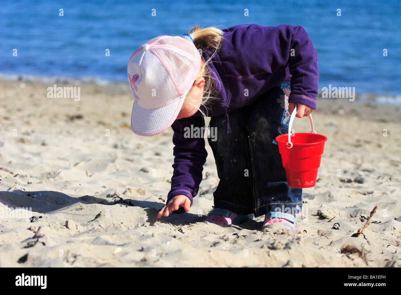Bucket Of Shells High Resolution Stock Photography and Images - Alamy