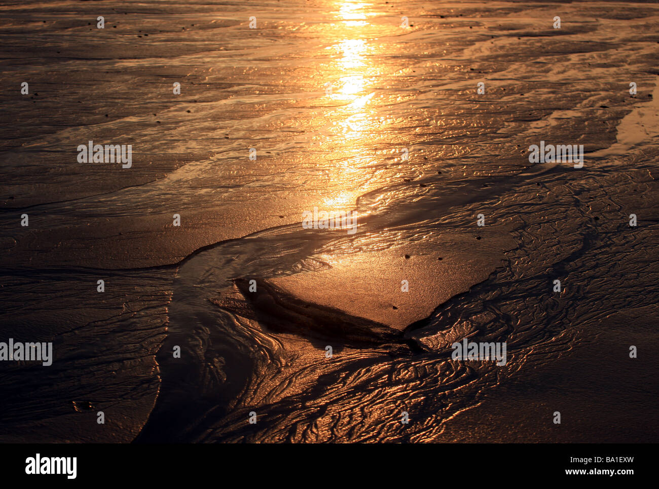 sunlight on the beach Stock Photo - Alamy