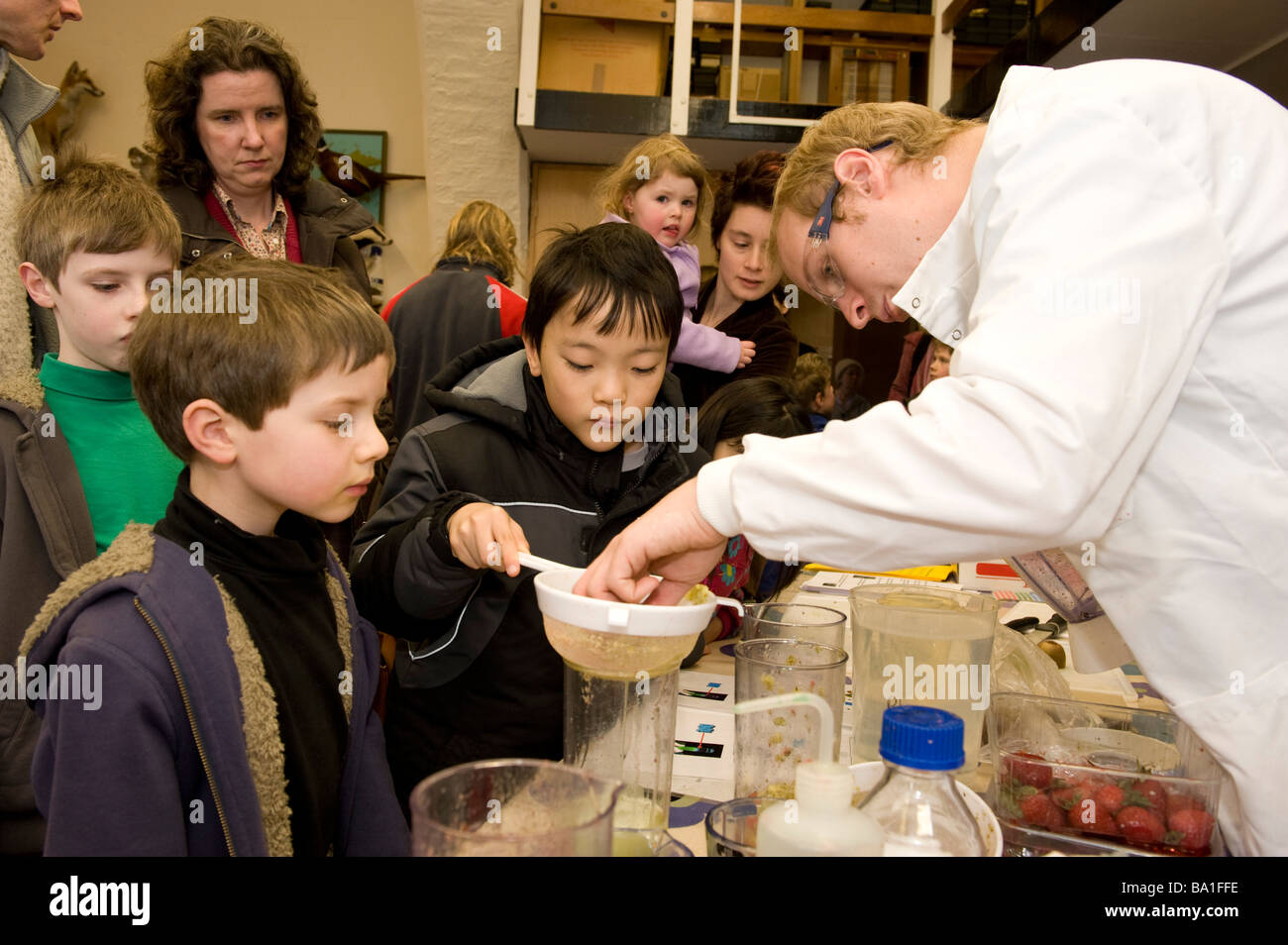 The museum at Oxford has a science day for kids here spliting DNA off ...