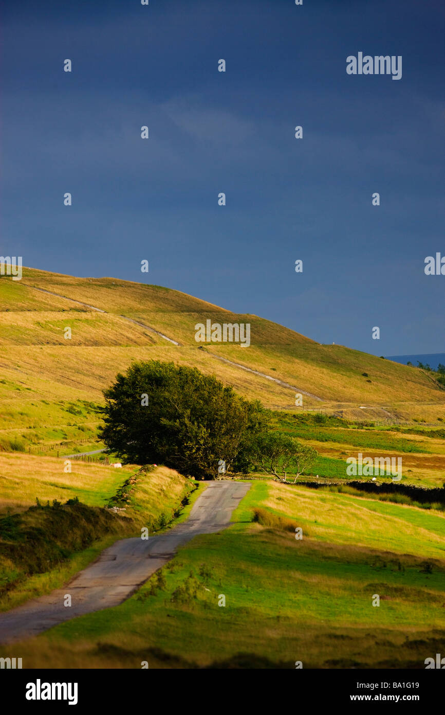 Manmoel road hi-res stock photography and images - Alamy