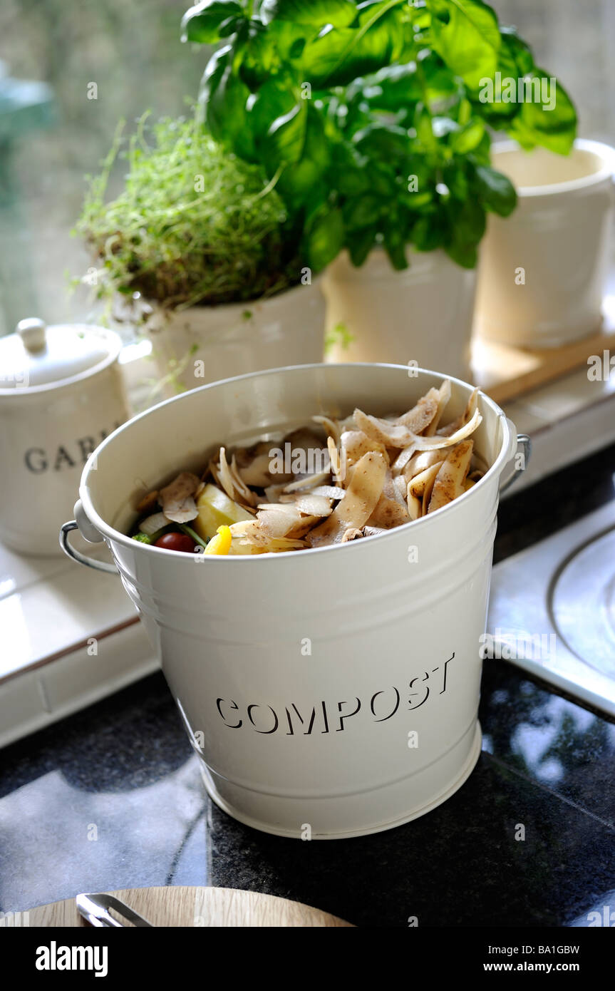 Compost collector in kitchen Stock Photo - Alamy