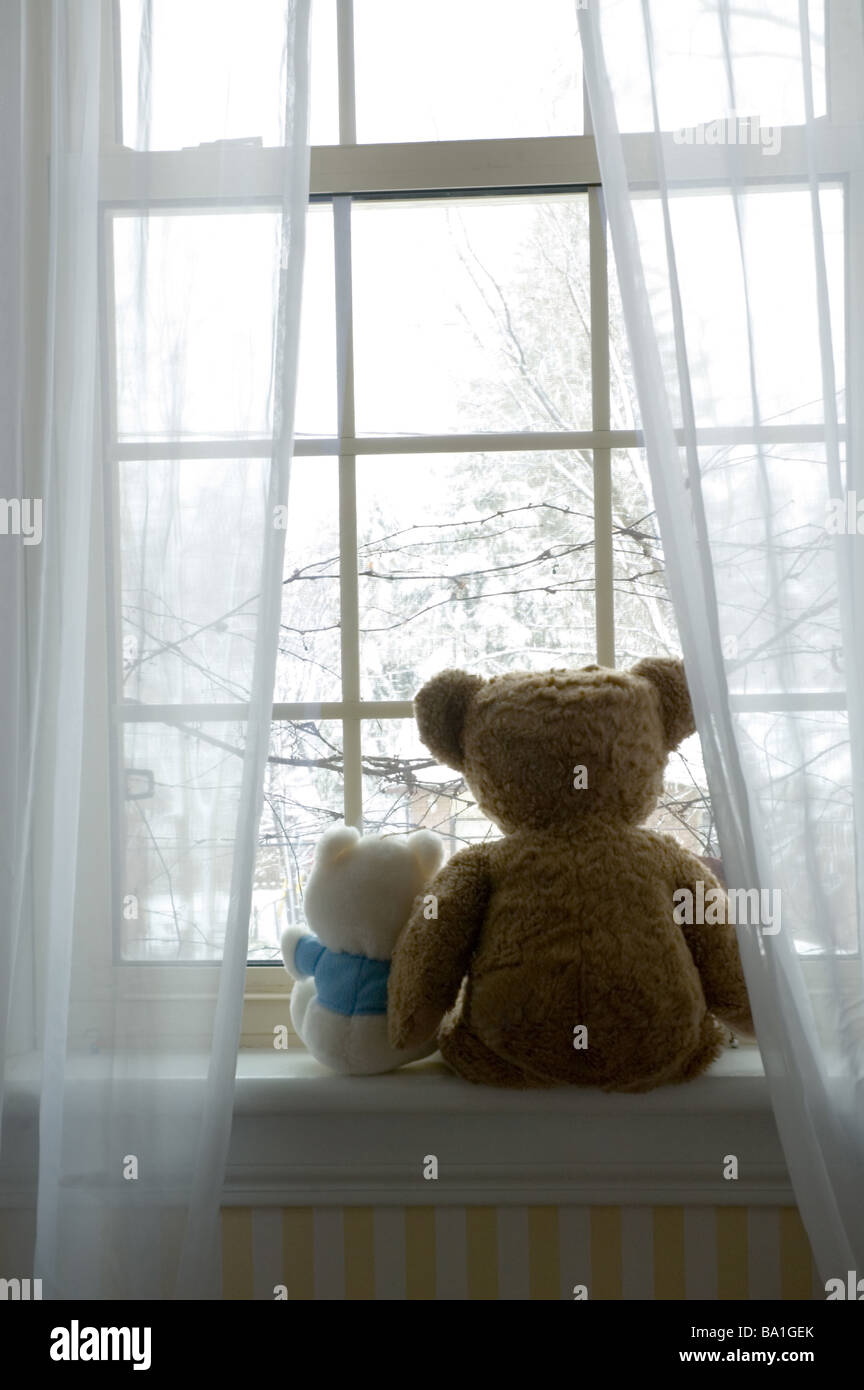 Teddy bears in window hi-res stock photography and images - Alamy