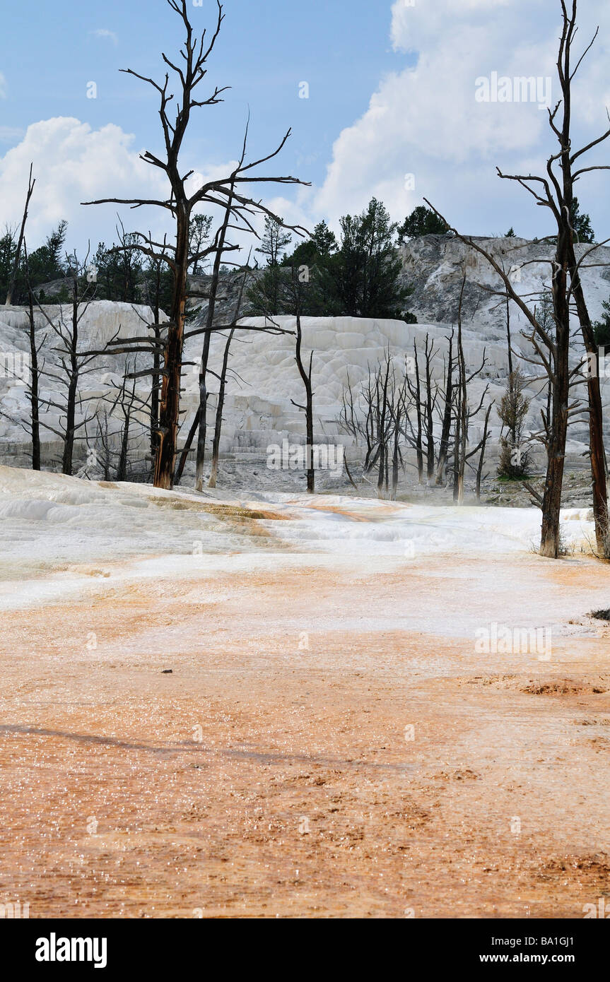 Earth geysers hi-res stock photography and images - Alamy