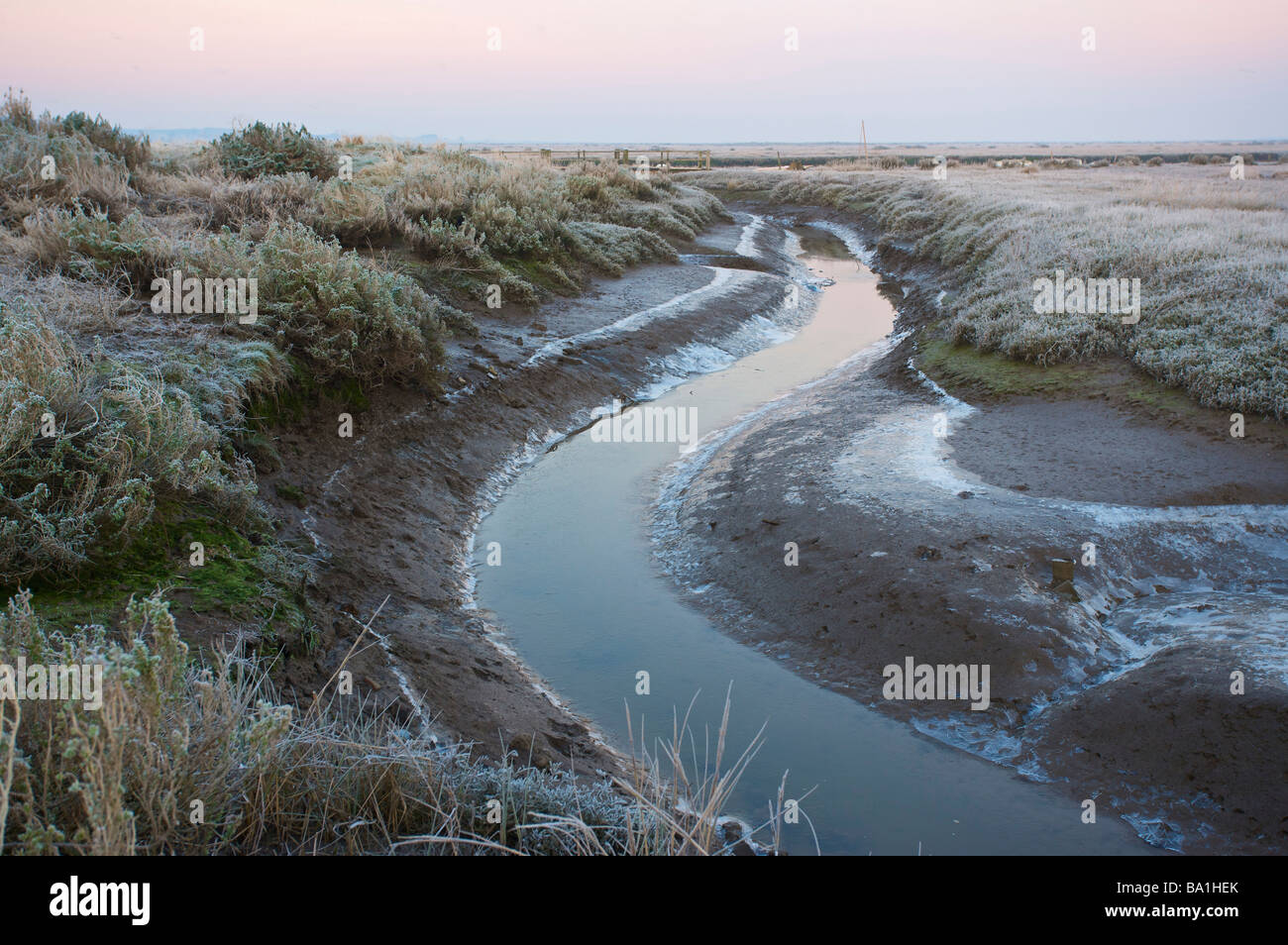 Salt marshes hi-res stock photography and images - Alamy