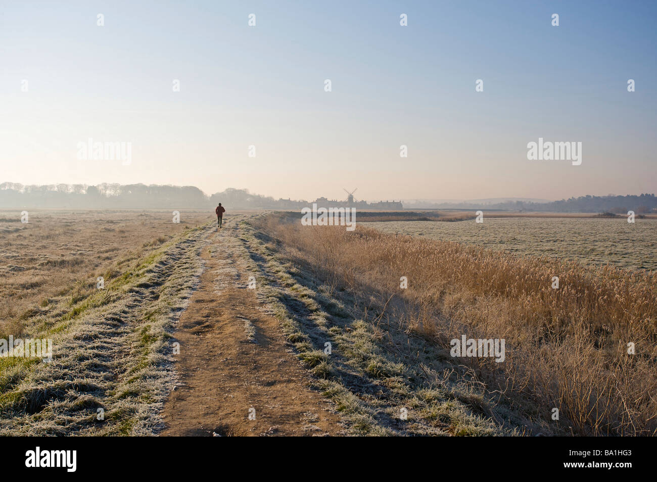 Early morning run hi-res stock photography and images - Alamy