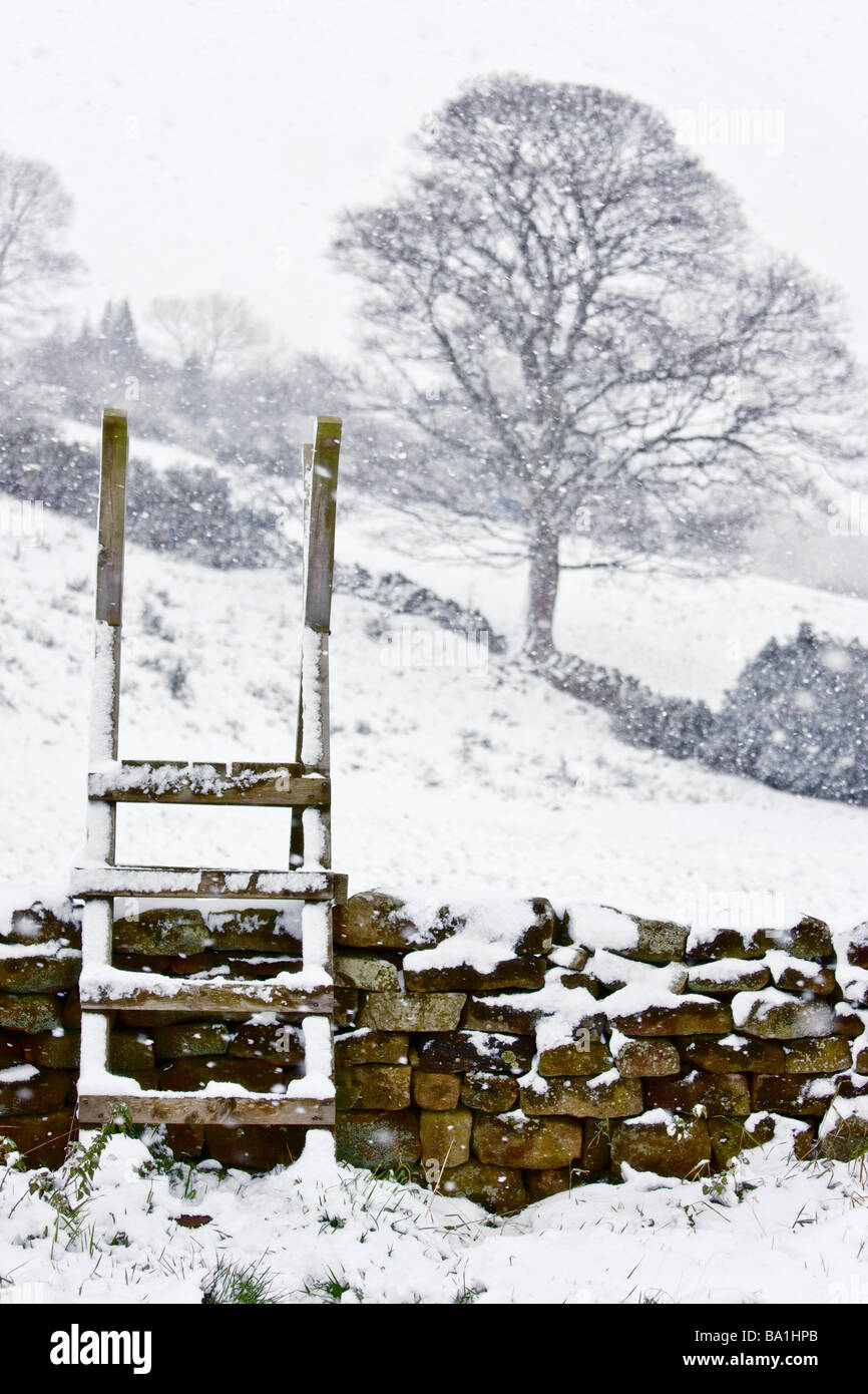 Ladder over fence hi-res stock photography and images - Alamy