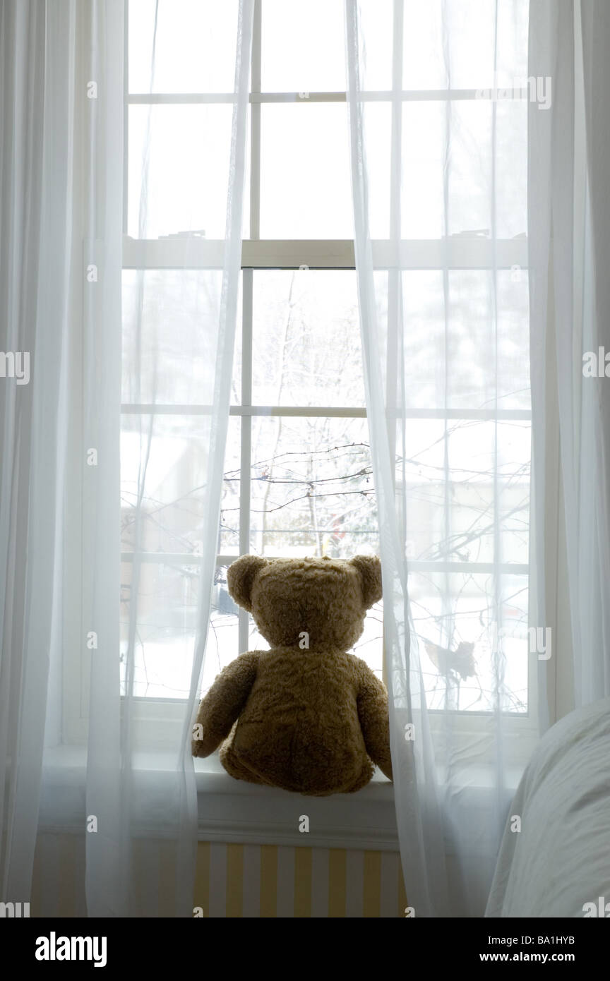 Bear looking out of window hi-res stock photography and images - Alamy