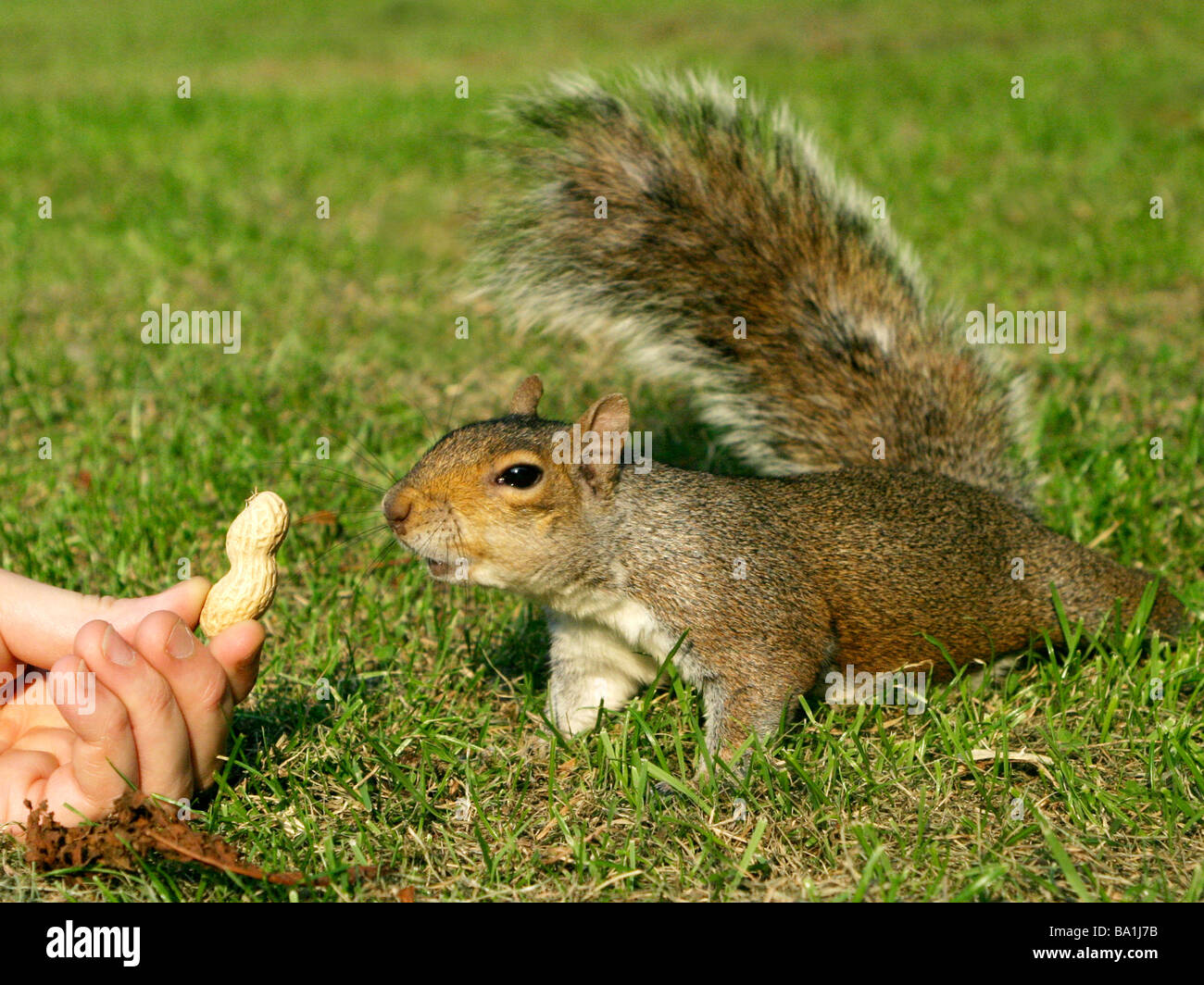 Tempted hi-res stock photography and images - Alamy