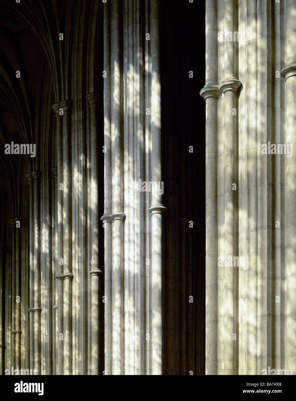 Canterbury Cathedral dappled nave columns Stock Photo - Alamy