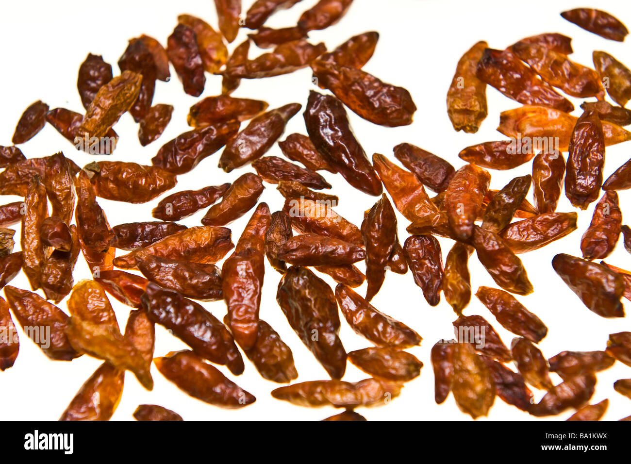 Spices dry chilli Stock Photo - Alamy