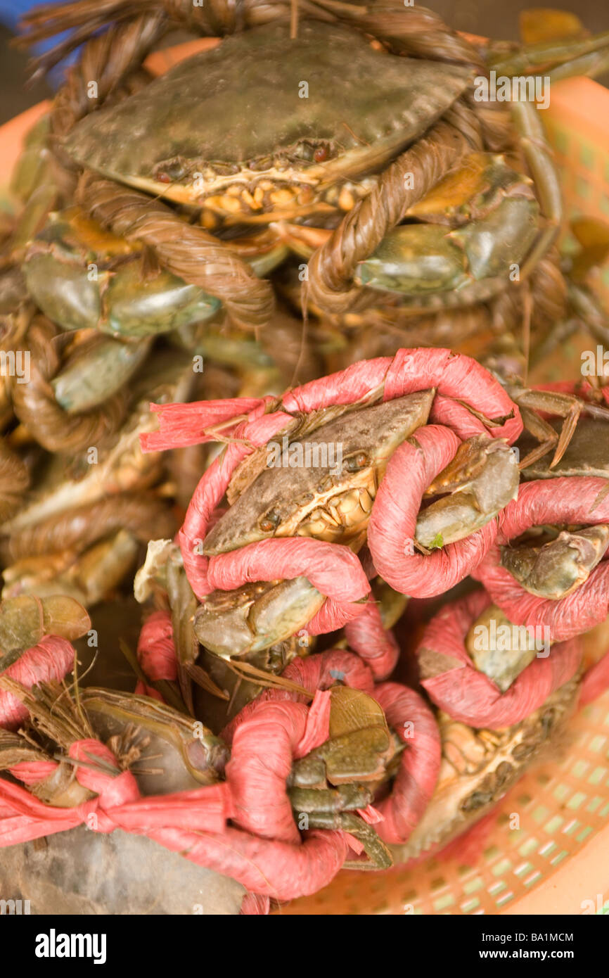 Crabs of vietnam hi-res stock photography and images - Alamy
