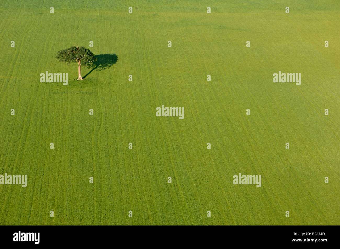 Britain farm aerial large hi-res stock photography and images - Alamy