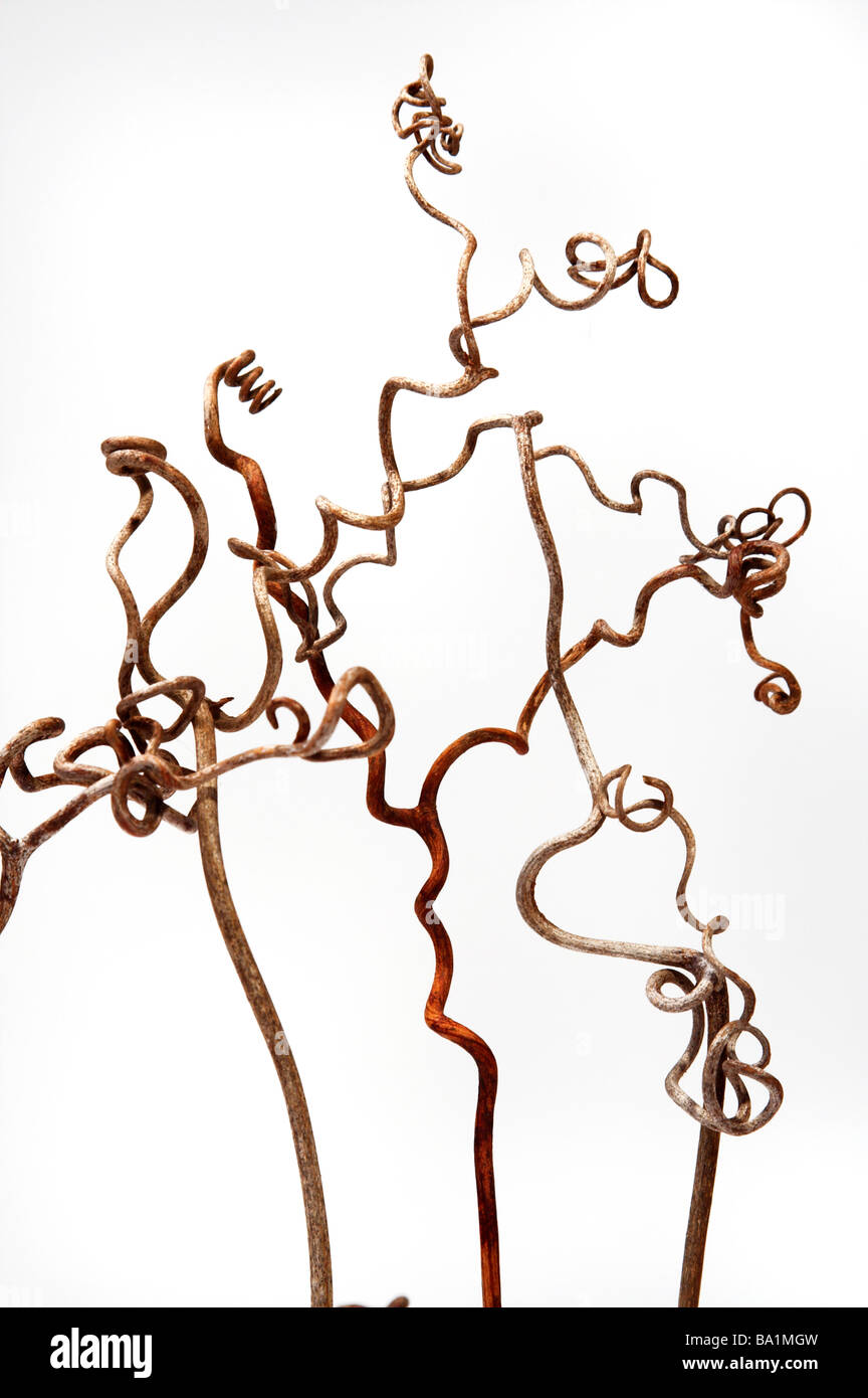 Beautiful forms hi-res stock photography and images - Alamy