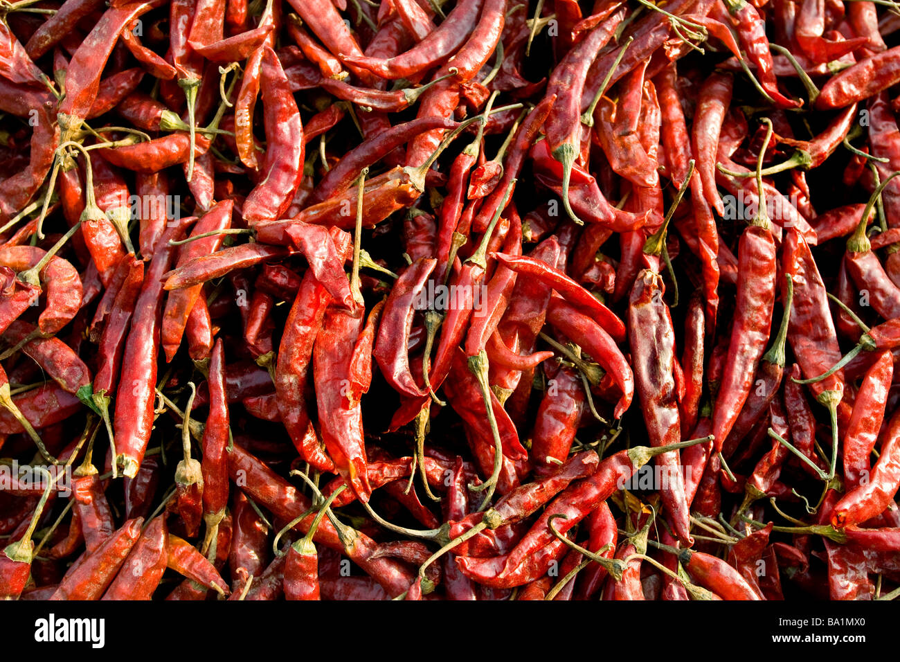 Dry chilli Bangladesh Stock Photo - Alamy