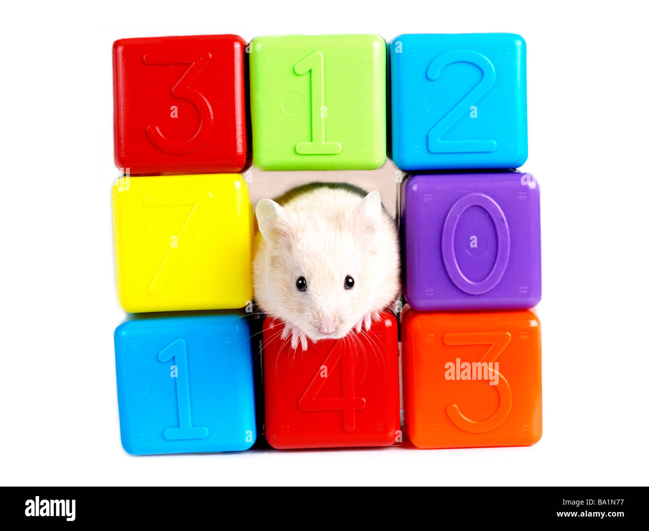 Numbered blocks hi-res stock photography and images - Alamy