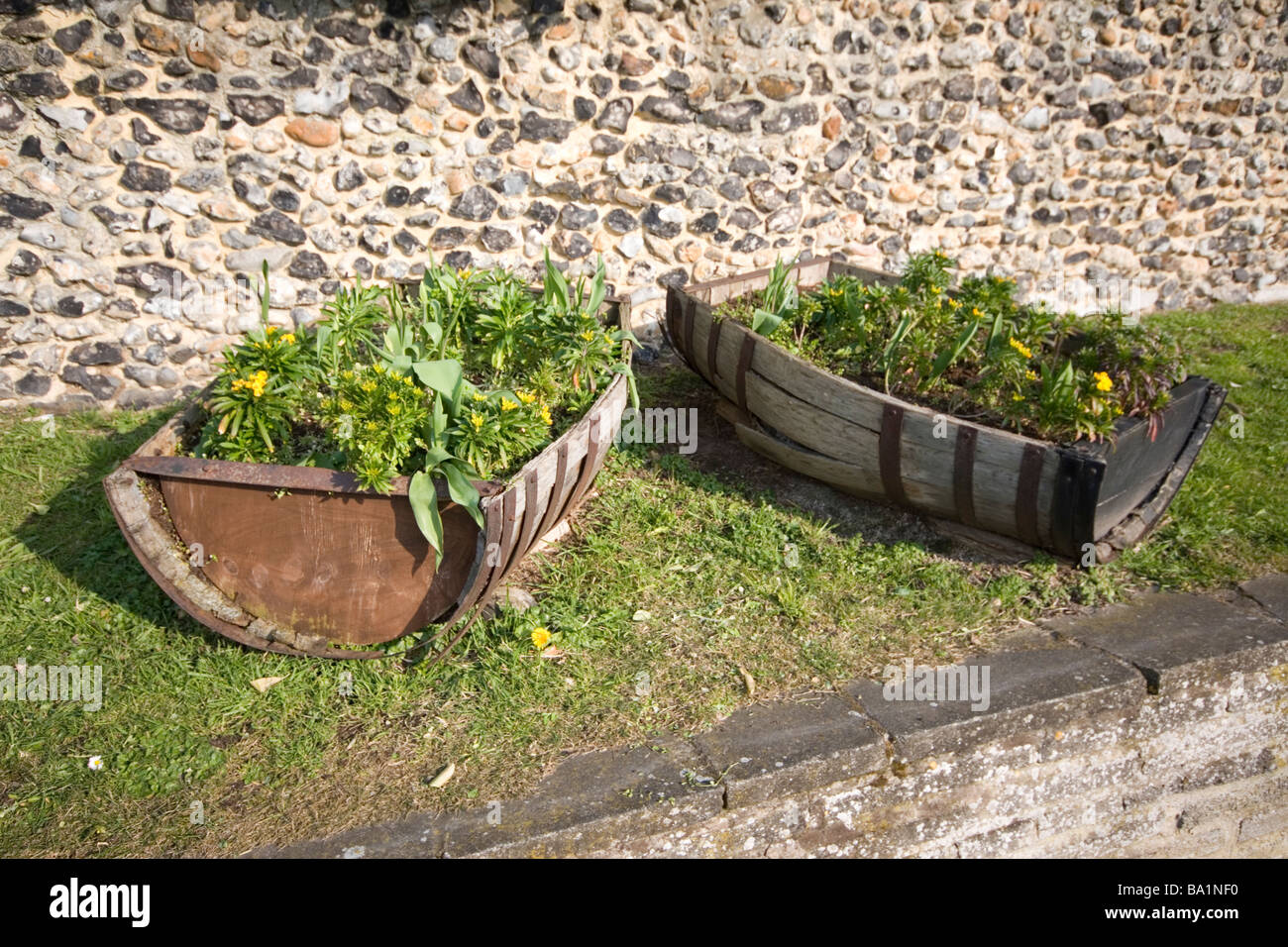Joss plant hi-res stock photography and images - Alamy