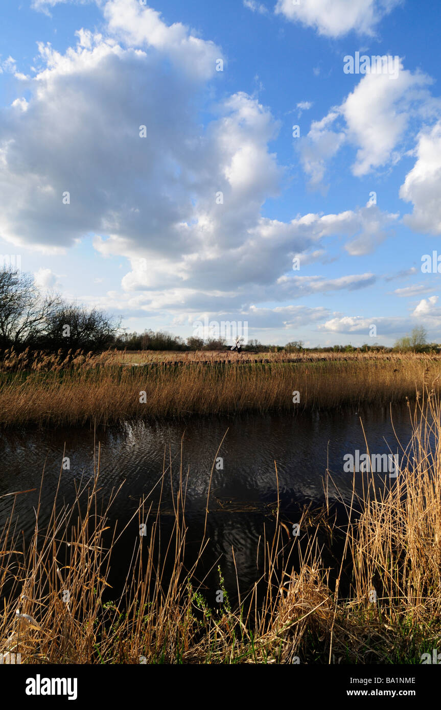 Wicken fen reserve hi-res stock photography and images - Alamy