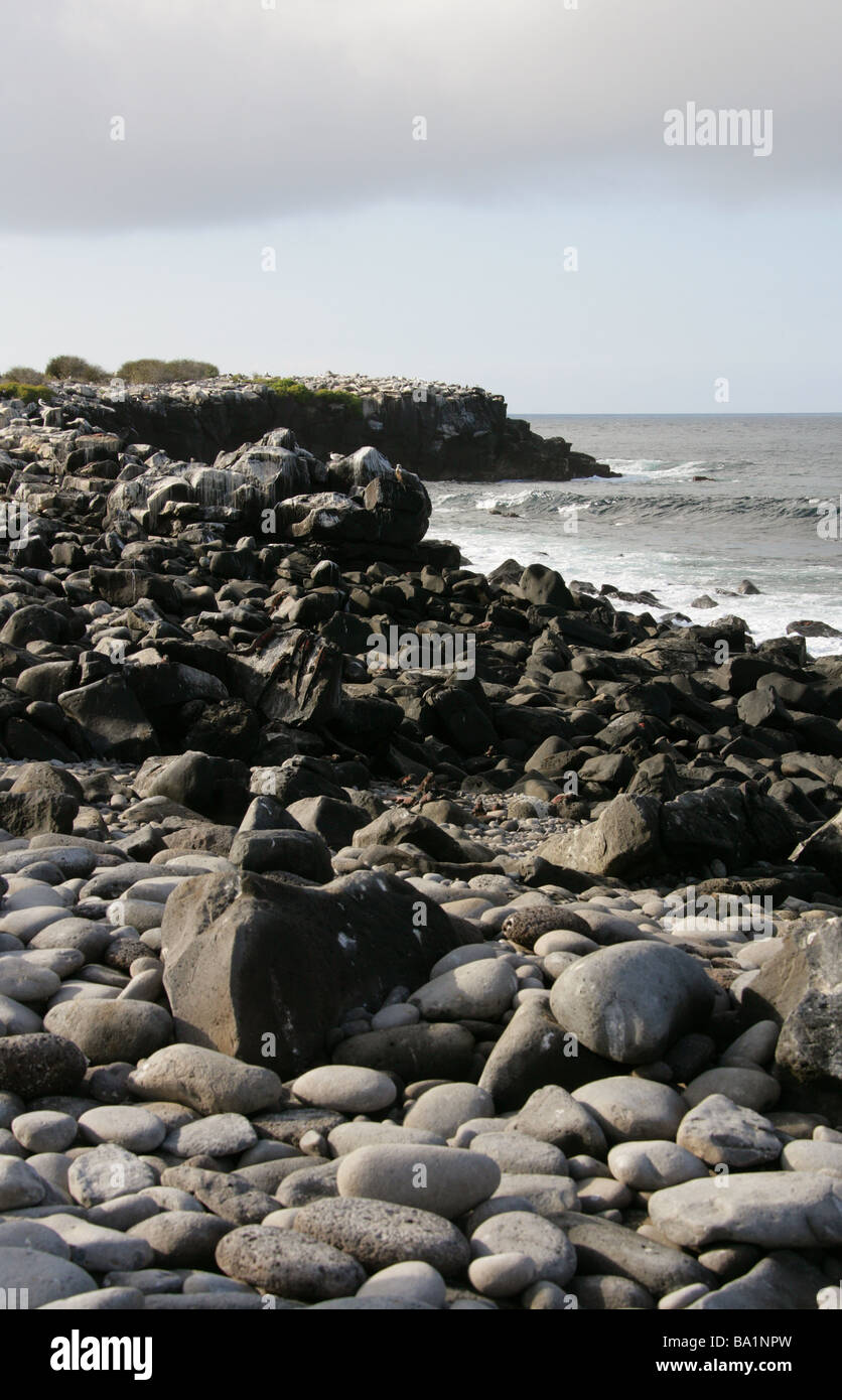 Espanola Island aka Hood Island, Galapagos Archipelago, Ecuador, South ...