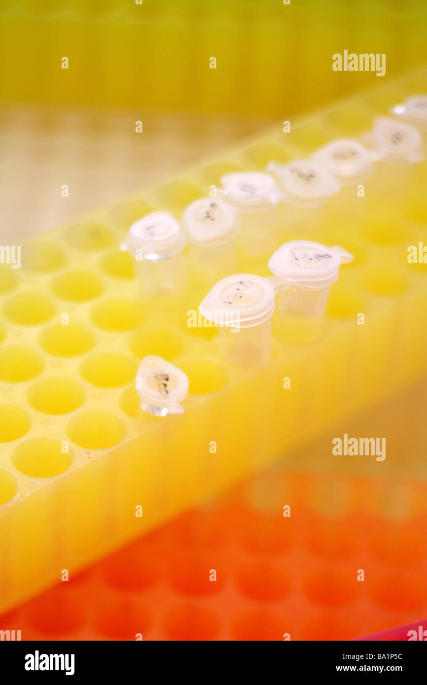 Molecular sequence hi-res stock photography and images - Alamy
