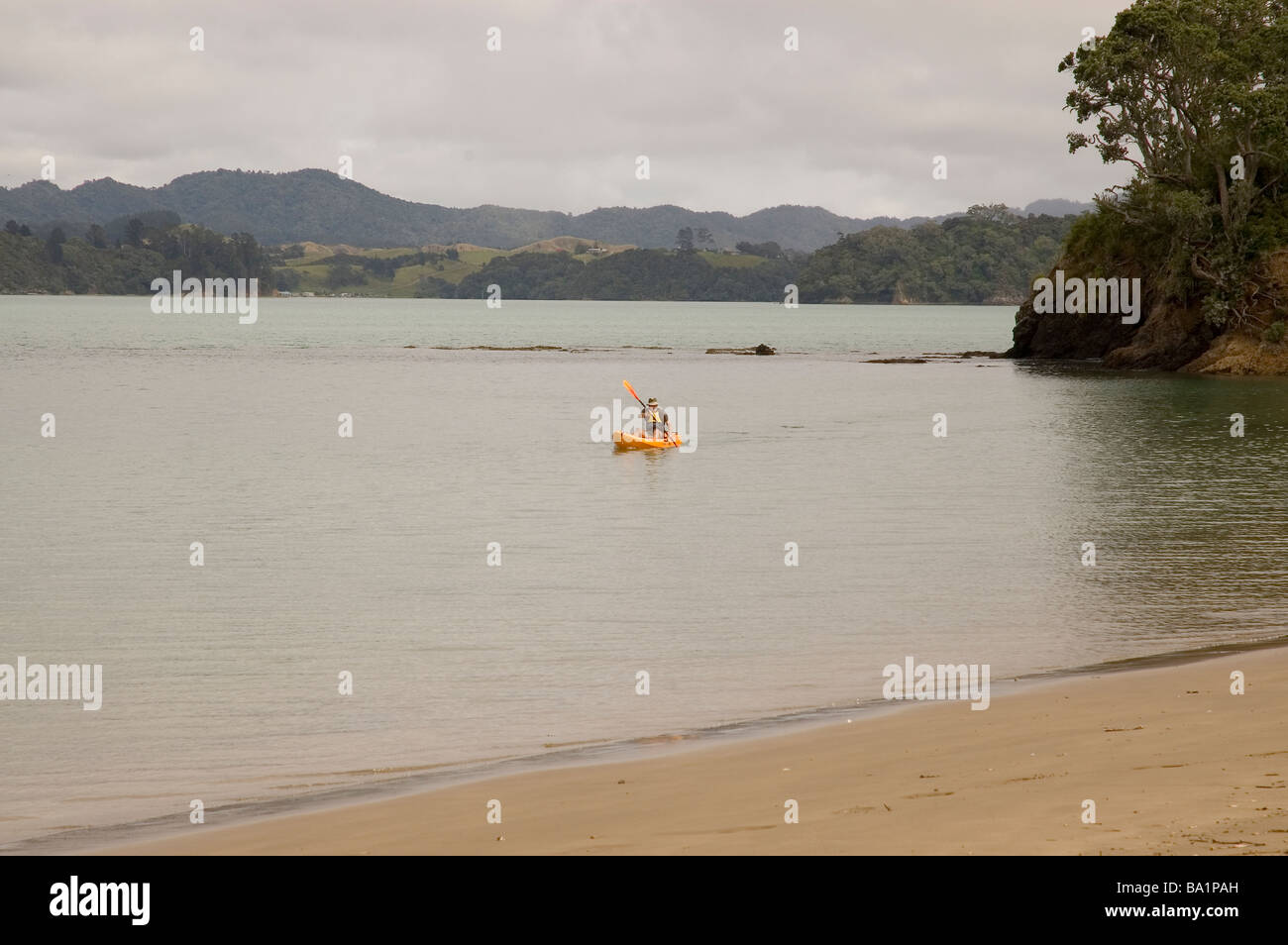 Whangaruru hi-res stock photography and images - Alamy