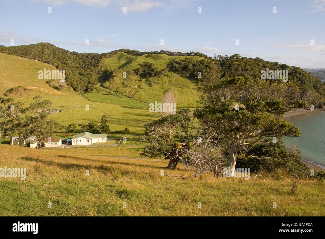 Whangaruru hi-res stock photography and images - Alamy