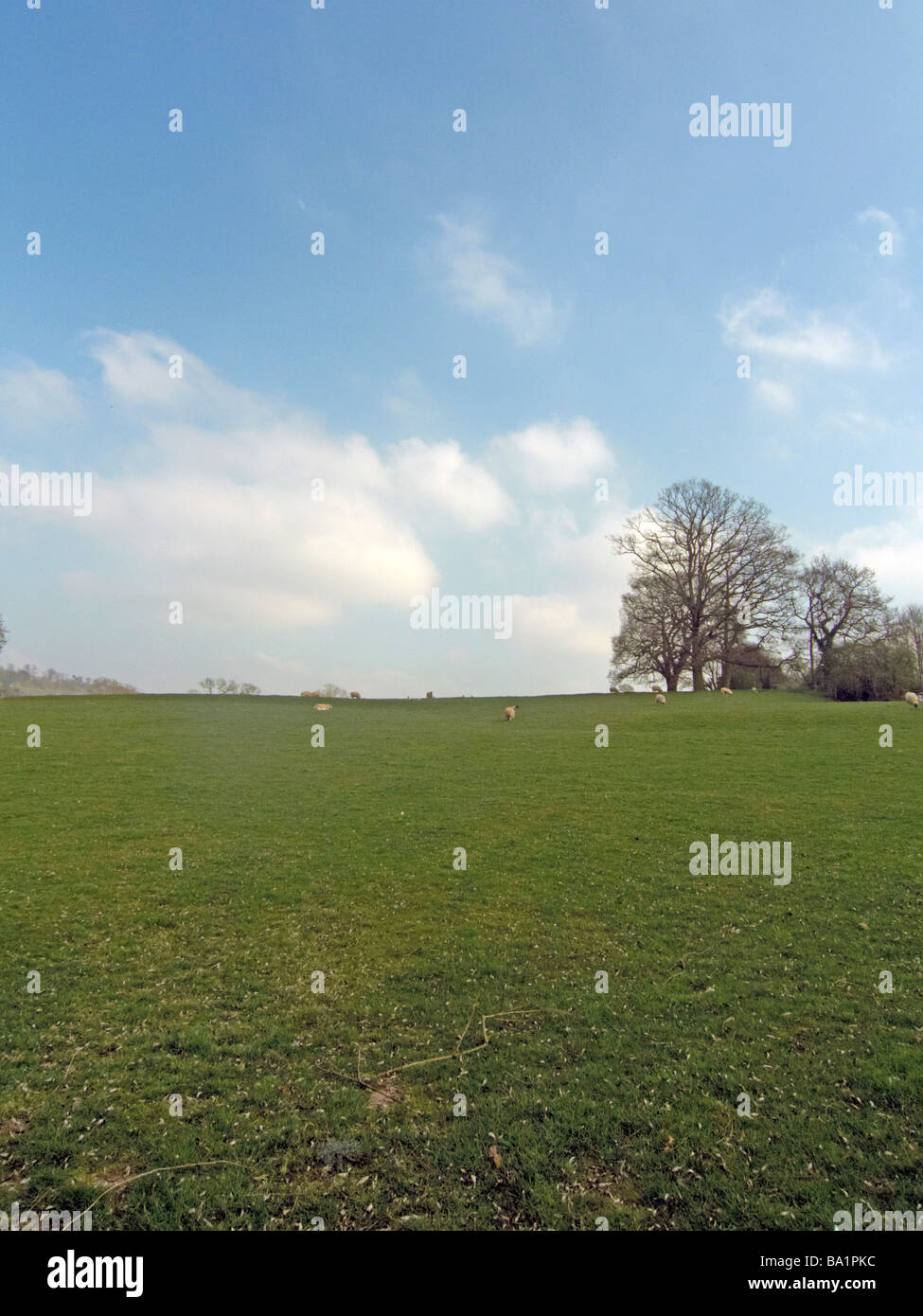 Herefordshire countryside in summer hi-res stock photography and images ...