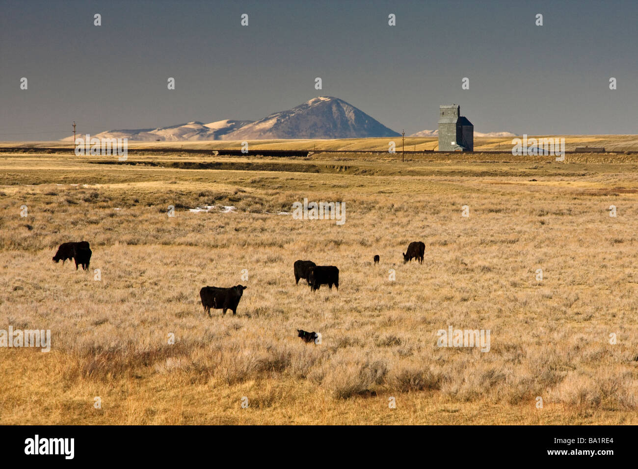 Open Range High Resolution Stock Photography and Images - Alamy