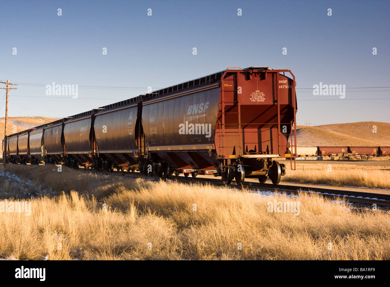 Grain carrier railroad cars on the Burlington Northern railroad in ...
