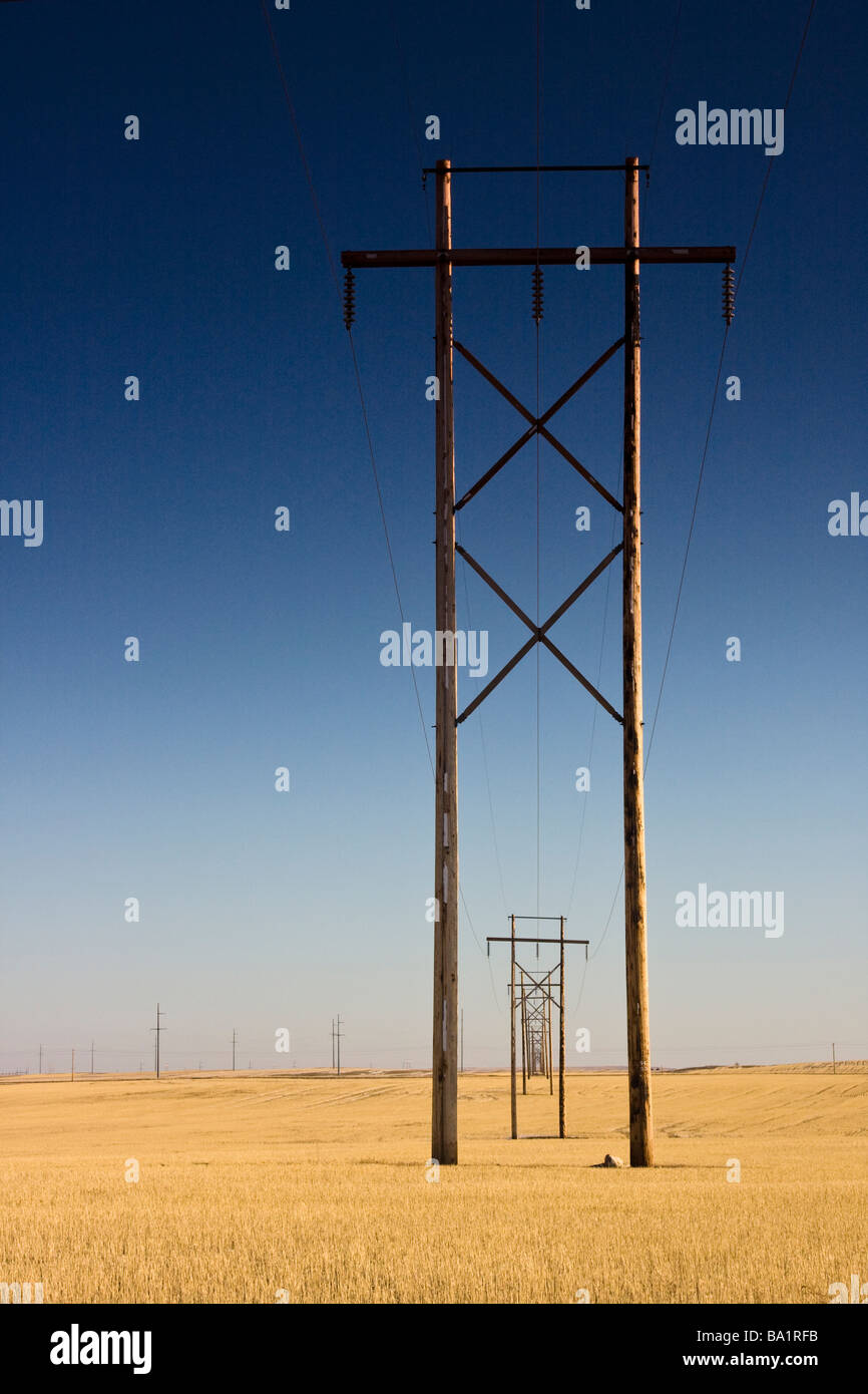 Transmission lines across the prairie near Shelby, Montana Stock Photo ...