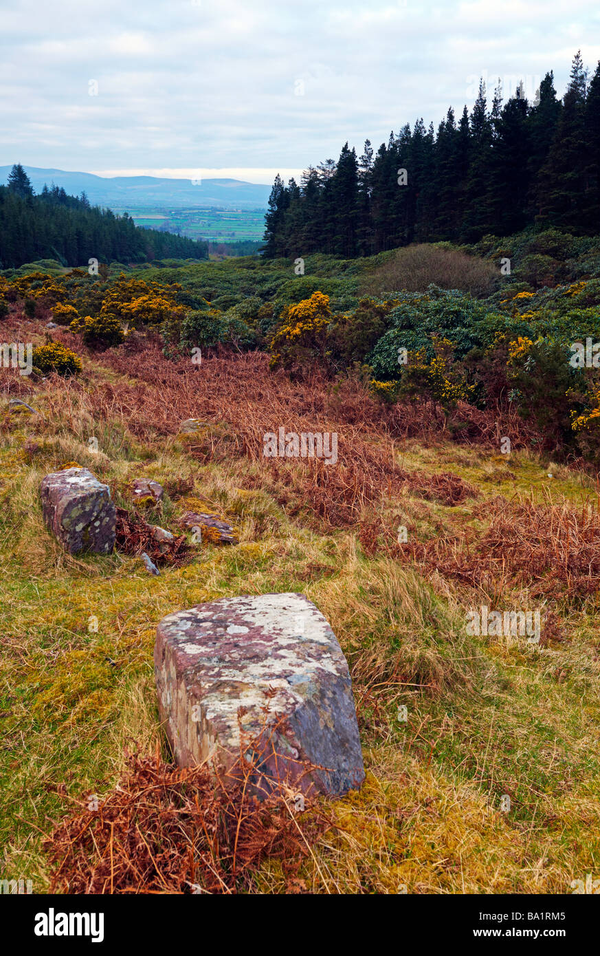 scenic area in Co Tipperary Ireland Stock Photo - Alamy
