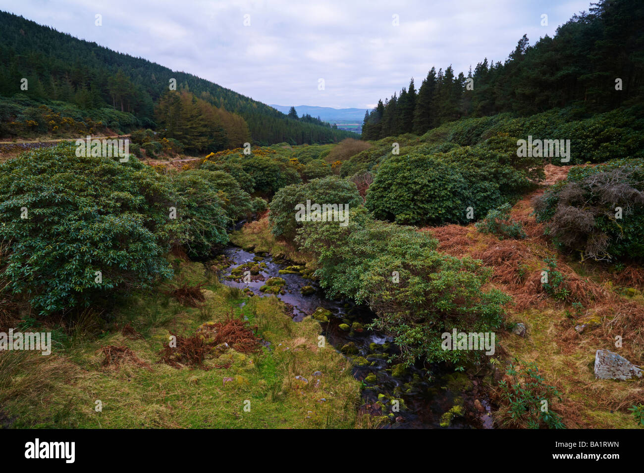scenic area in Co.Tipperary, Ireland Stock Photo - Alamy