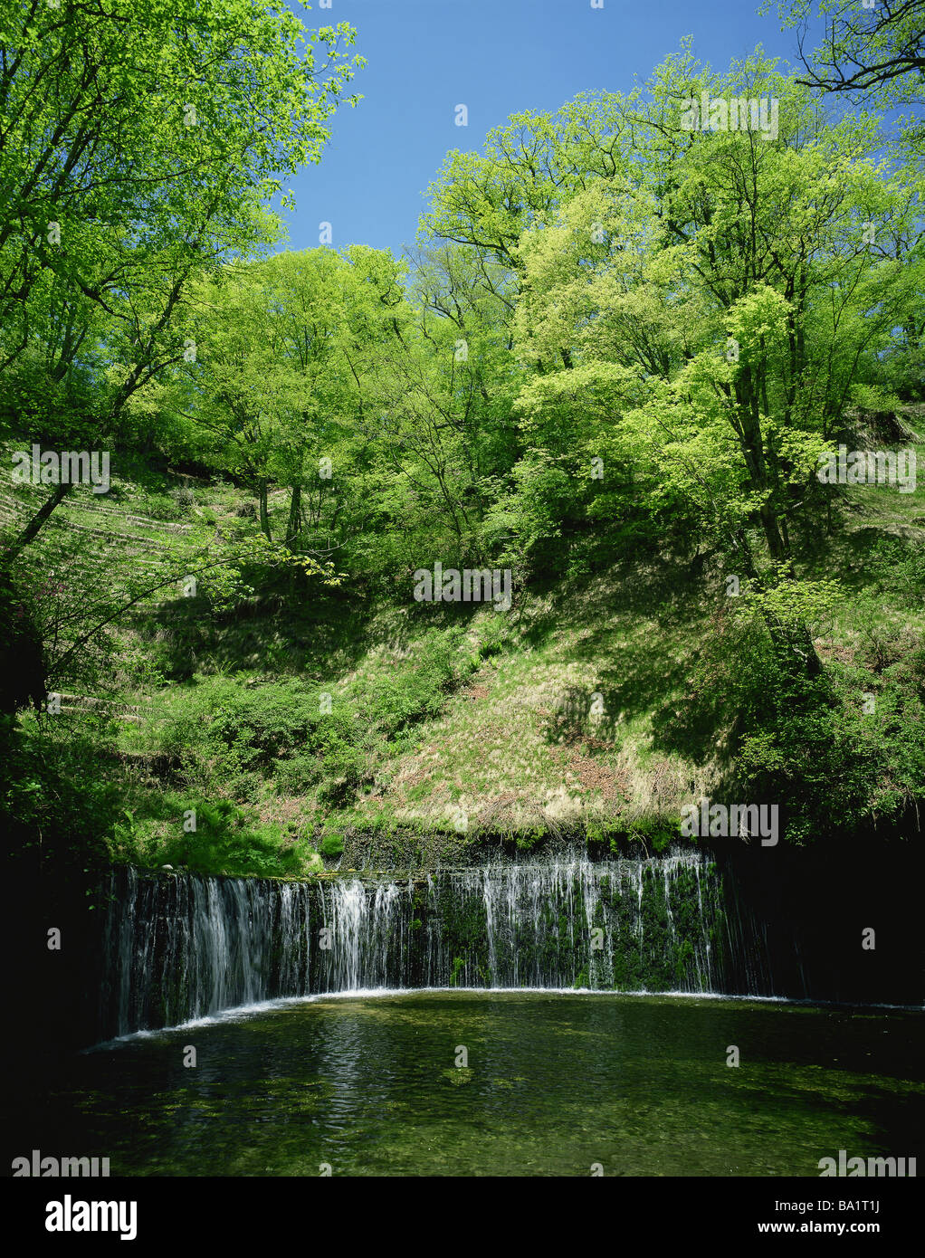 Shiraito Falls Flowing From Forest in Nagano Prefecture,Japan Stock ...