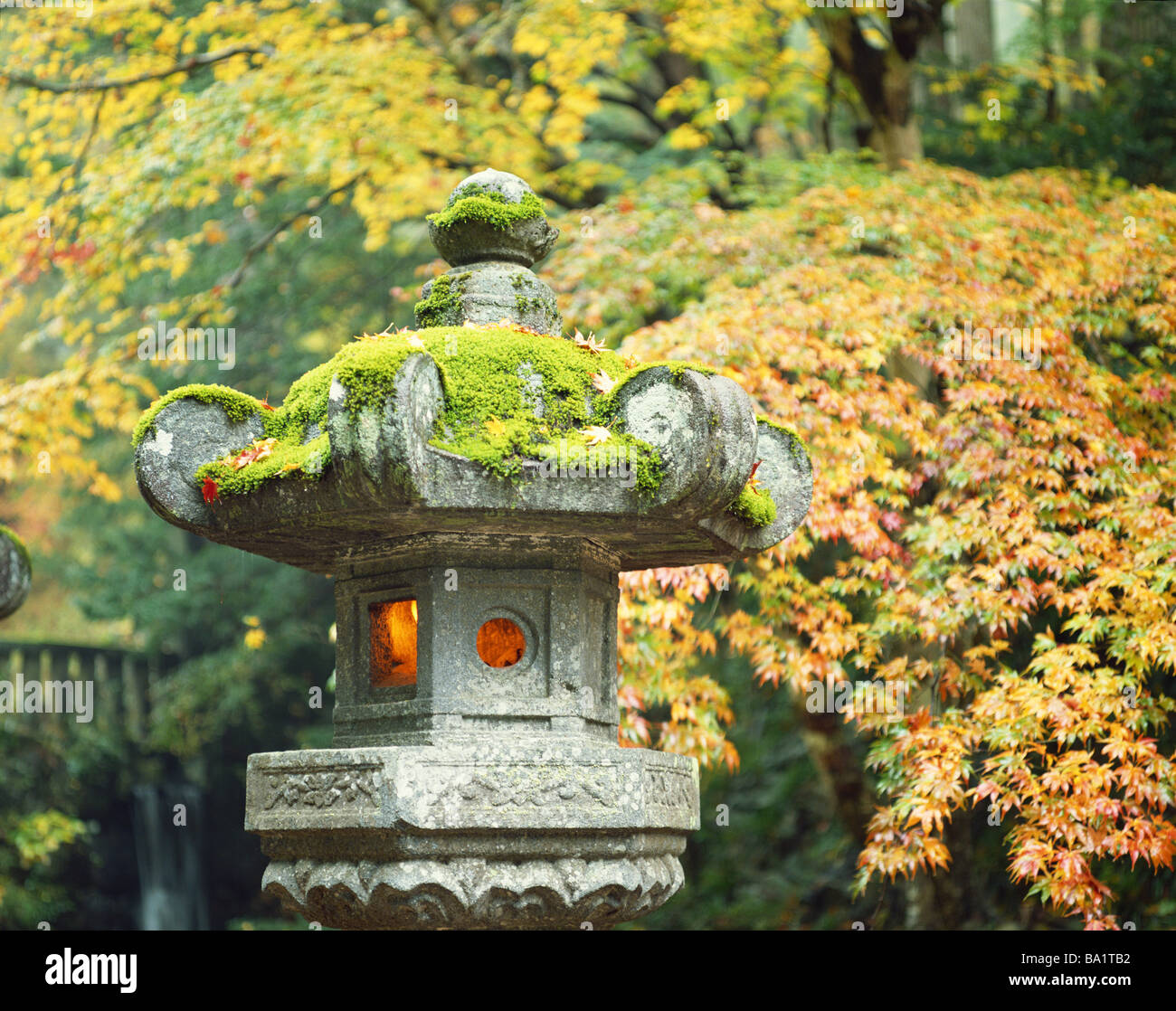 Close up moss stone lantern hi-res stock photography and images - Alamy