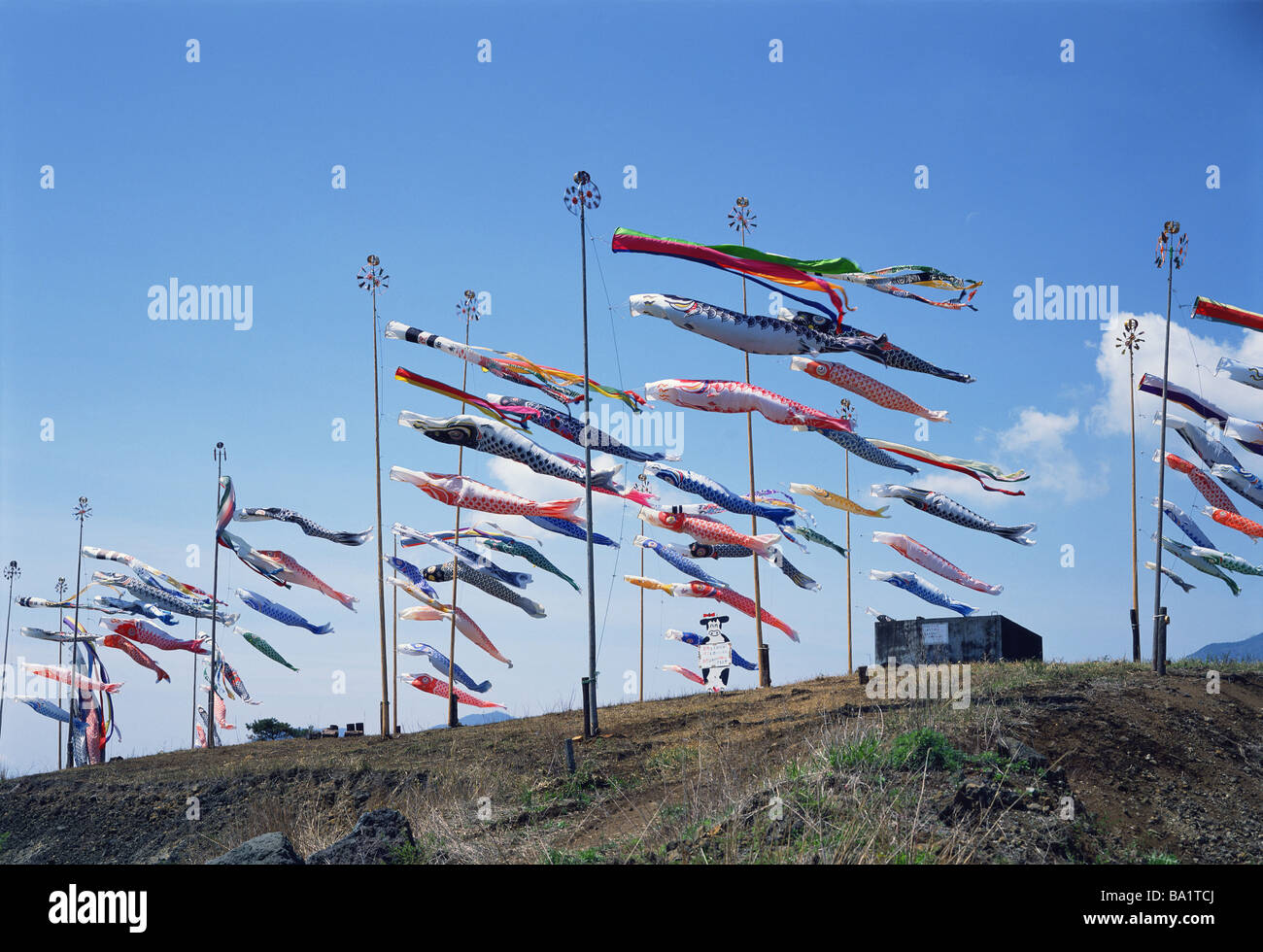 Carp streamer festival hi-res stock photography and images - Alamy