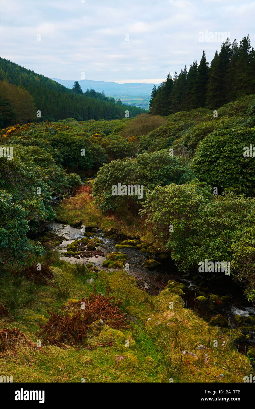 Tipperary hi-res stock photography and images - Alamy