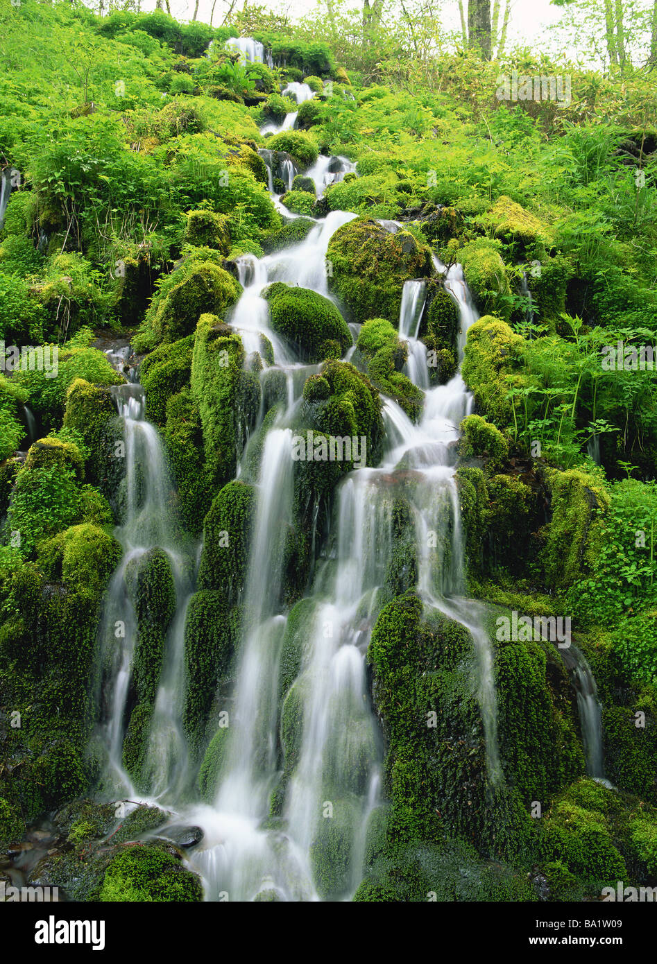 Goro'S Waterfall at Nagano Prefecture ,Japan Stock Photo - Alamy