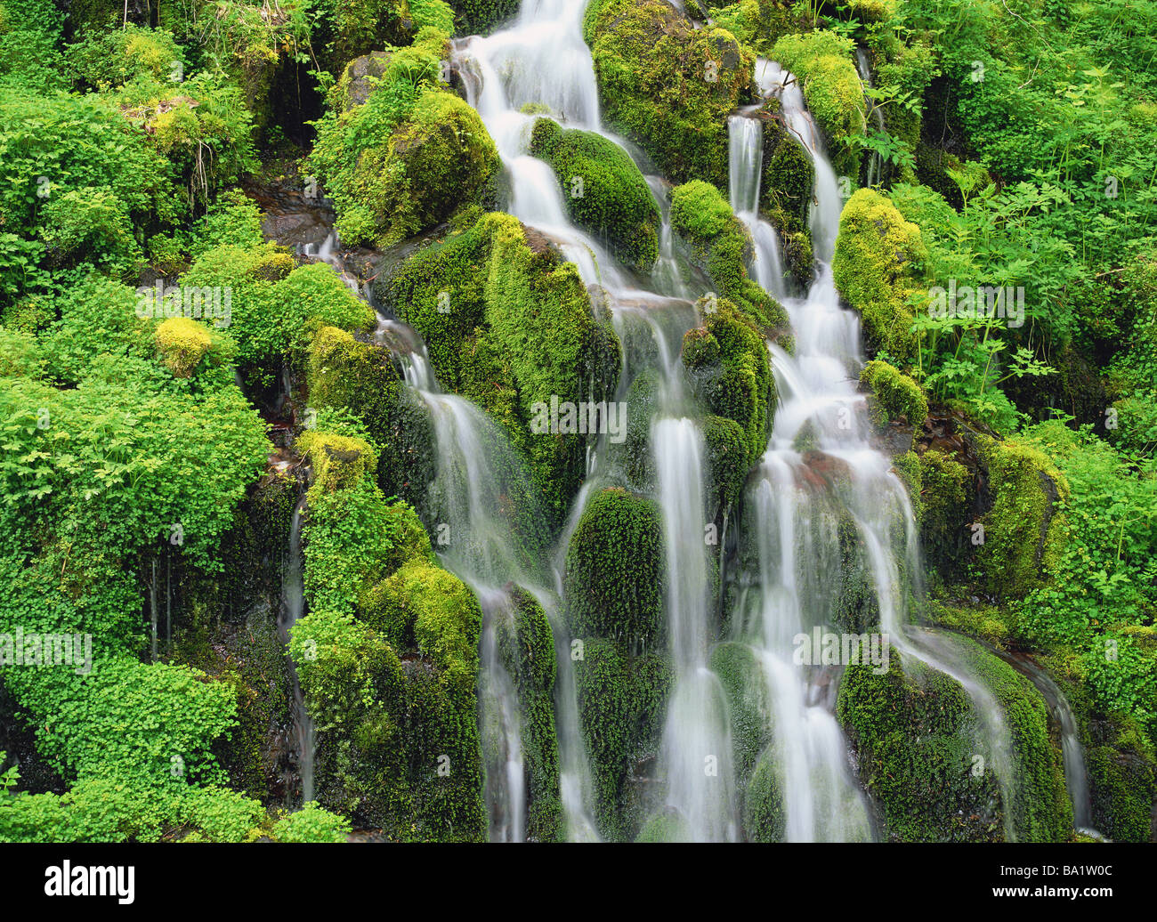 Goros waterfall at nagano prefecture hi-res stock photography and ...