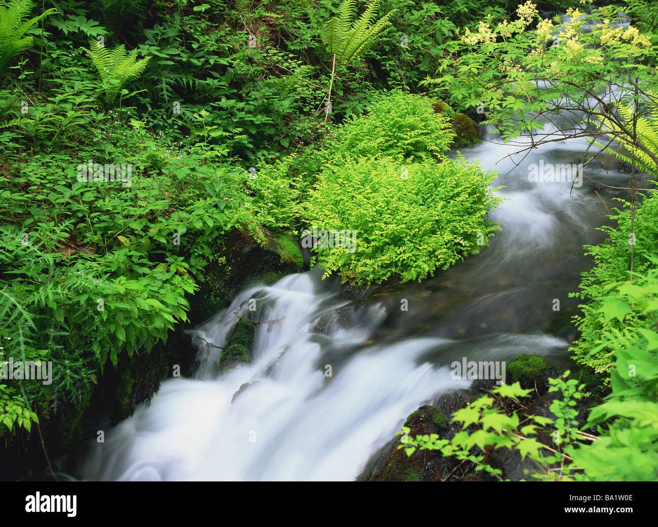 Waterfalls at Nagano Prefecture ,Japan Stock Photo - Alamy