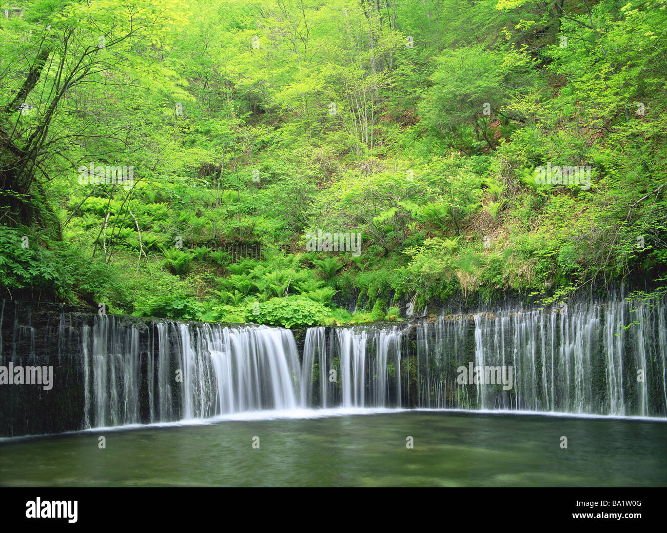 Shiraito Falls at Nagano Prefecture,Japan Stock Photo - Alamy