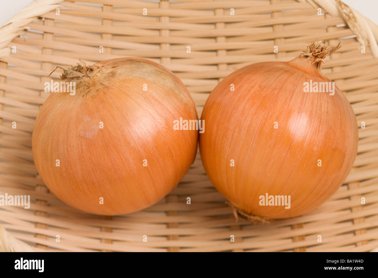 Edible onions allium cepa hi-res stock photography and images - Alamy