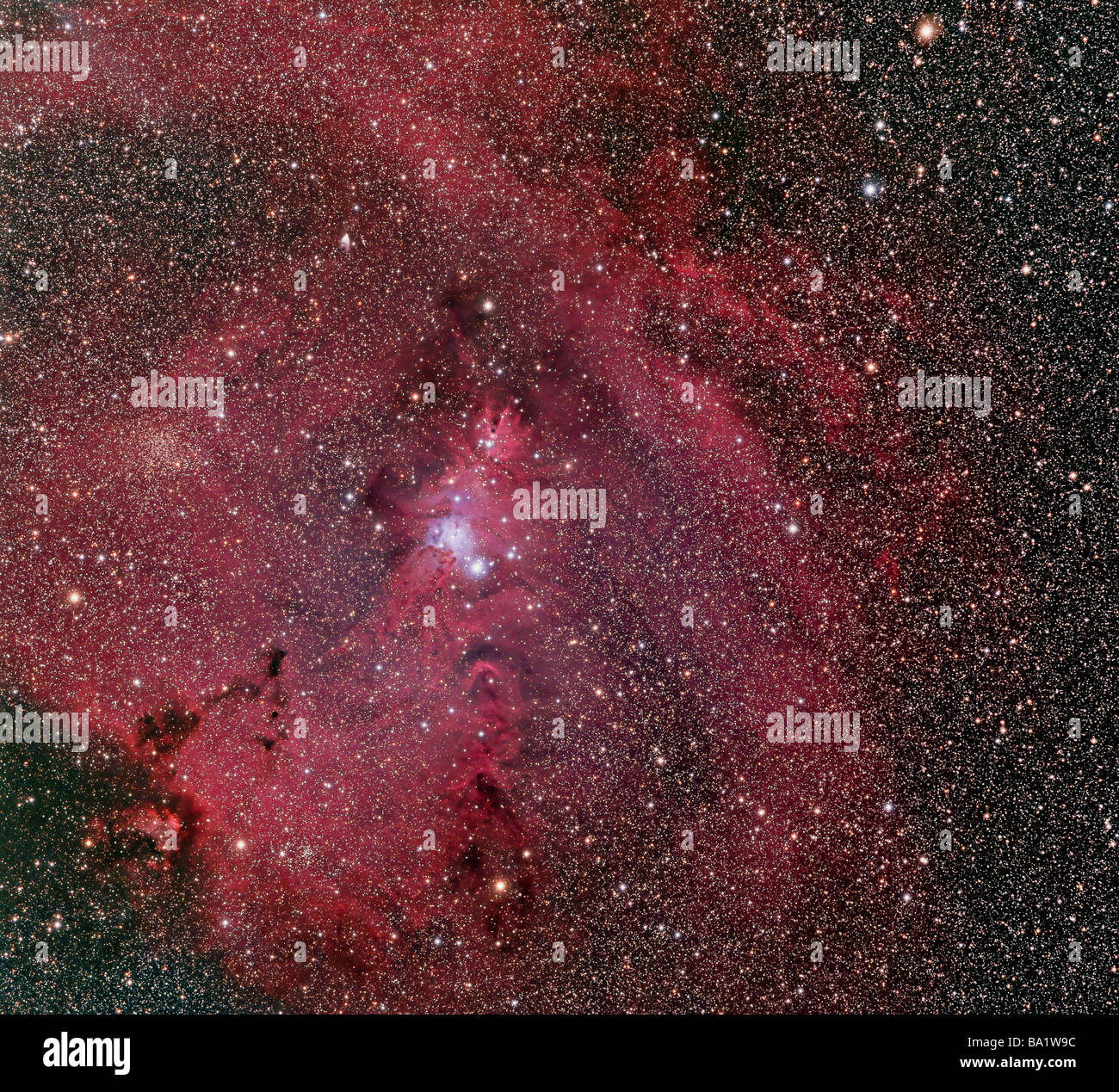 NGC 2264, the Cone and Christmas Tree Nebula Stock Photo - Alamy