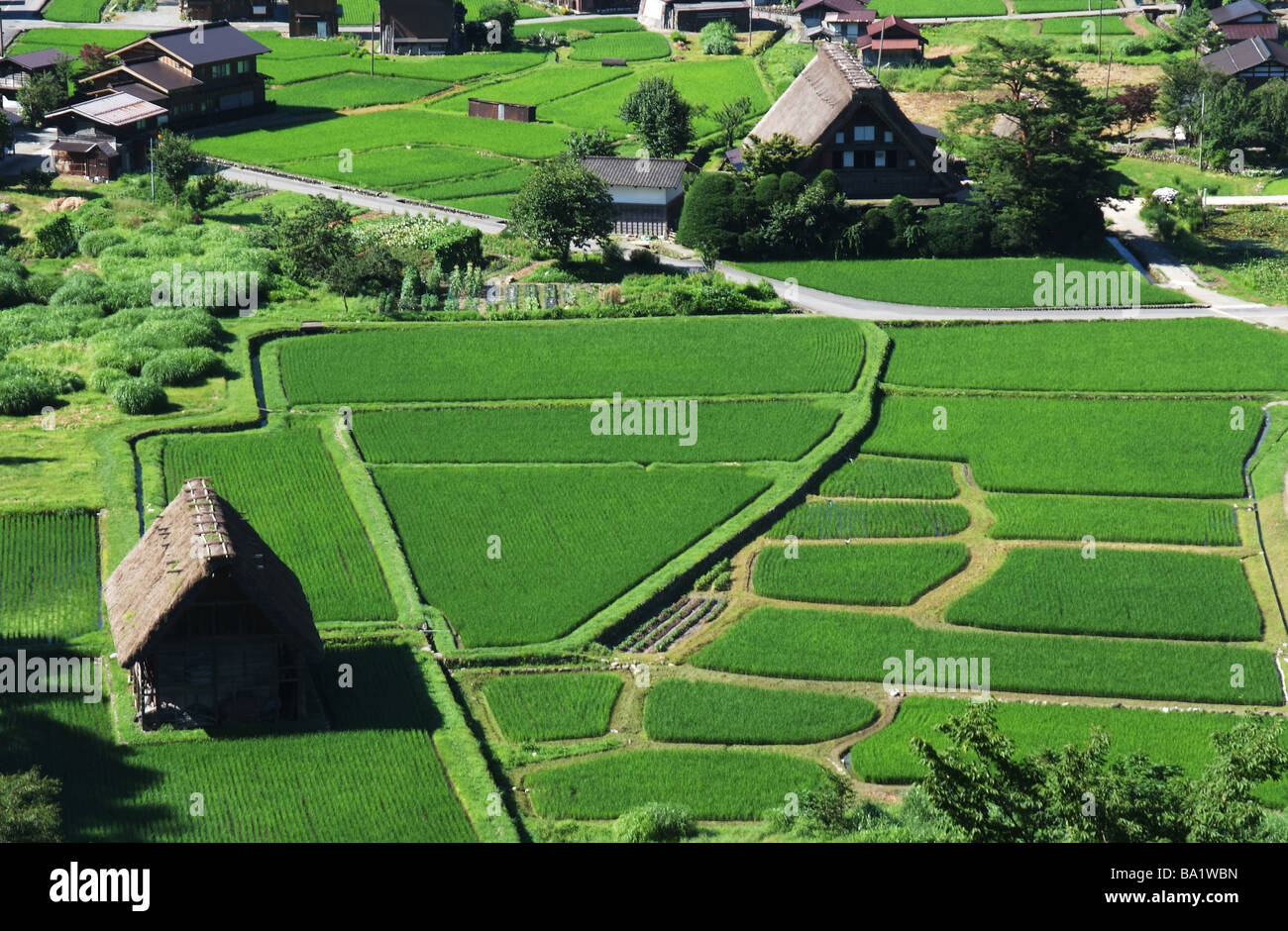 View of Shirakawa Village in Japan Terraced Paddy Field Stock Photo - Alamy