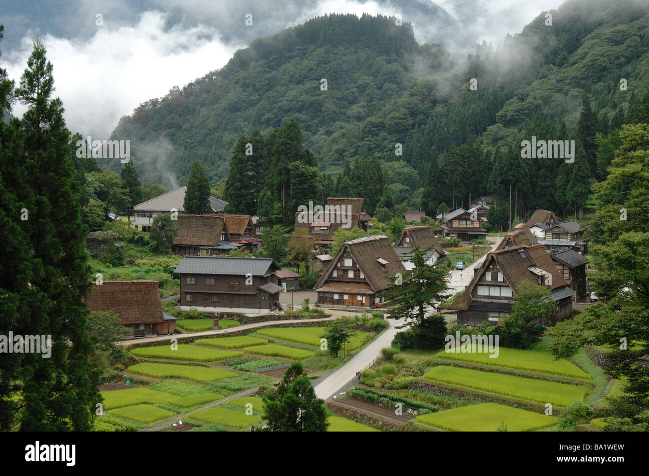 View of Rice Field and Japanese Traditional House Stock Photo - Alamy